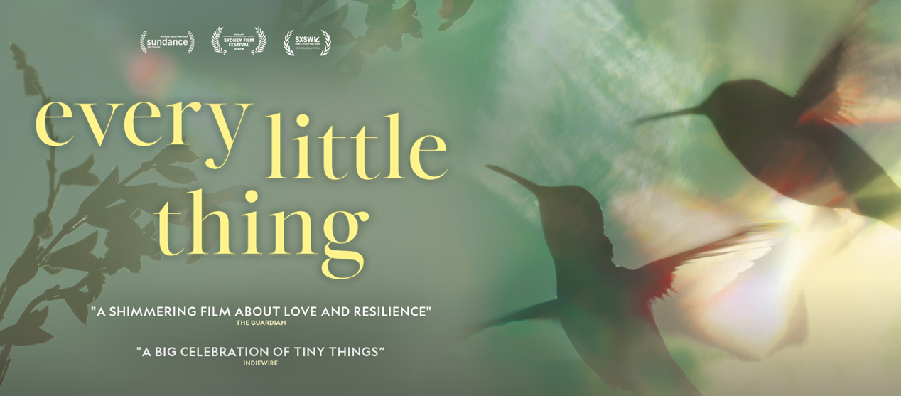 On the Screen Review: Every Little Thing - theatrenow.com.au